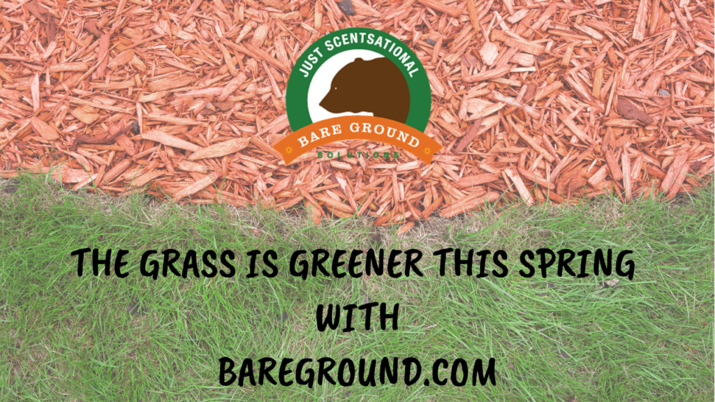 Get Green Grass & Lively Mulch This Spring! | Bare Ground Solutions