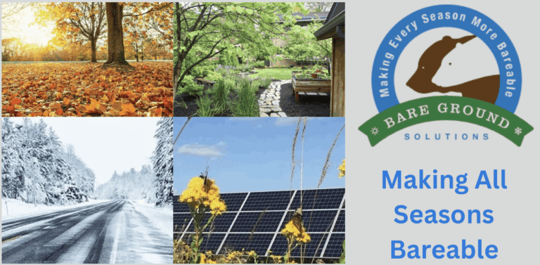 Bare Ground Solutions | Roof to Road, Grass to Garden